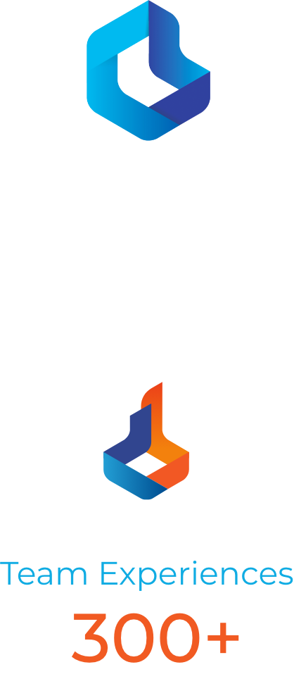 Bluebik Vulcan | About Us